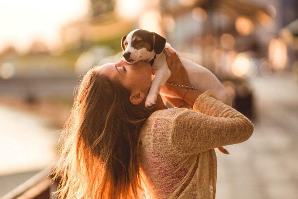 Petvisor | Veterinary and Grooming Software Platform